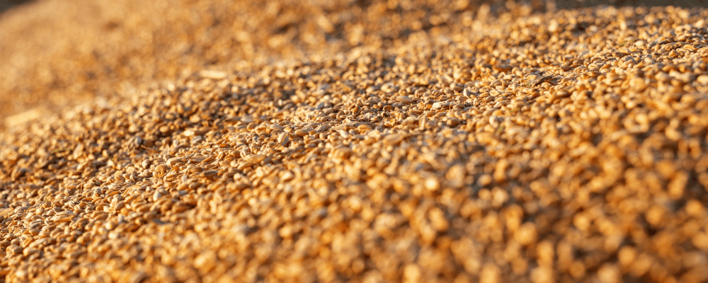 Grain analysis offers full picture at harvest - Crop Production Magazine