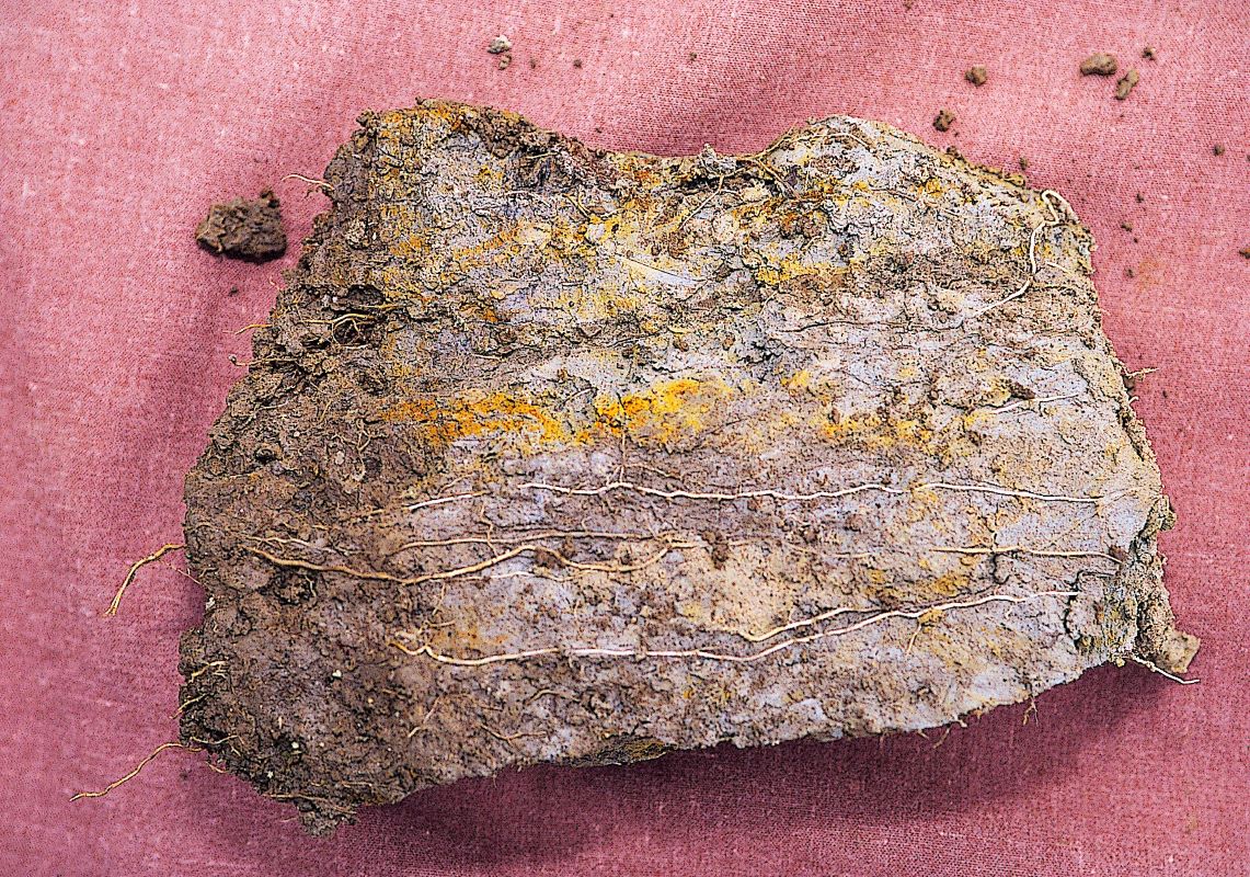 Soil assessment techniques: Just dig it - Crop Production Magazine